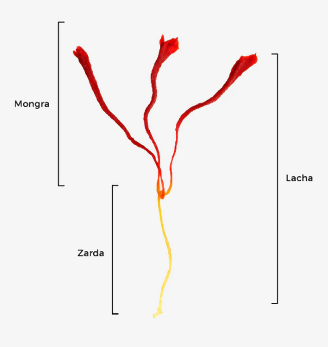 Kashmiri Saffron Best Quality Saffron in BD/Original Saffron in BD ...